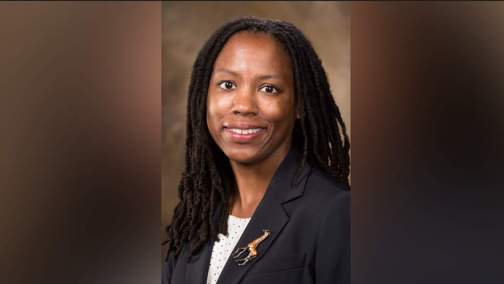 Overview - Southern University Law Center